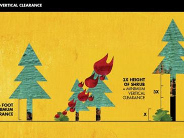 Wildfire Information