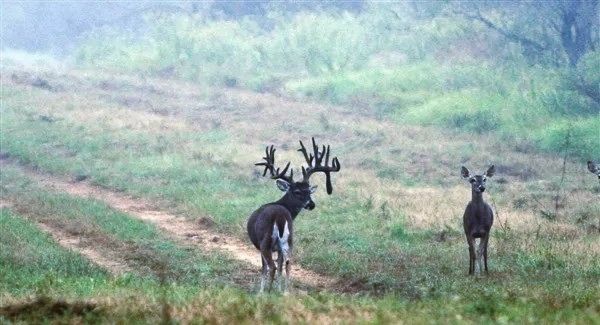 Home | Friendswood Ranch