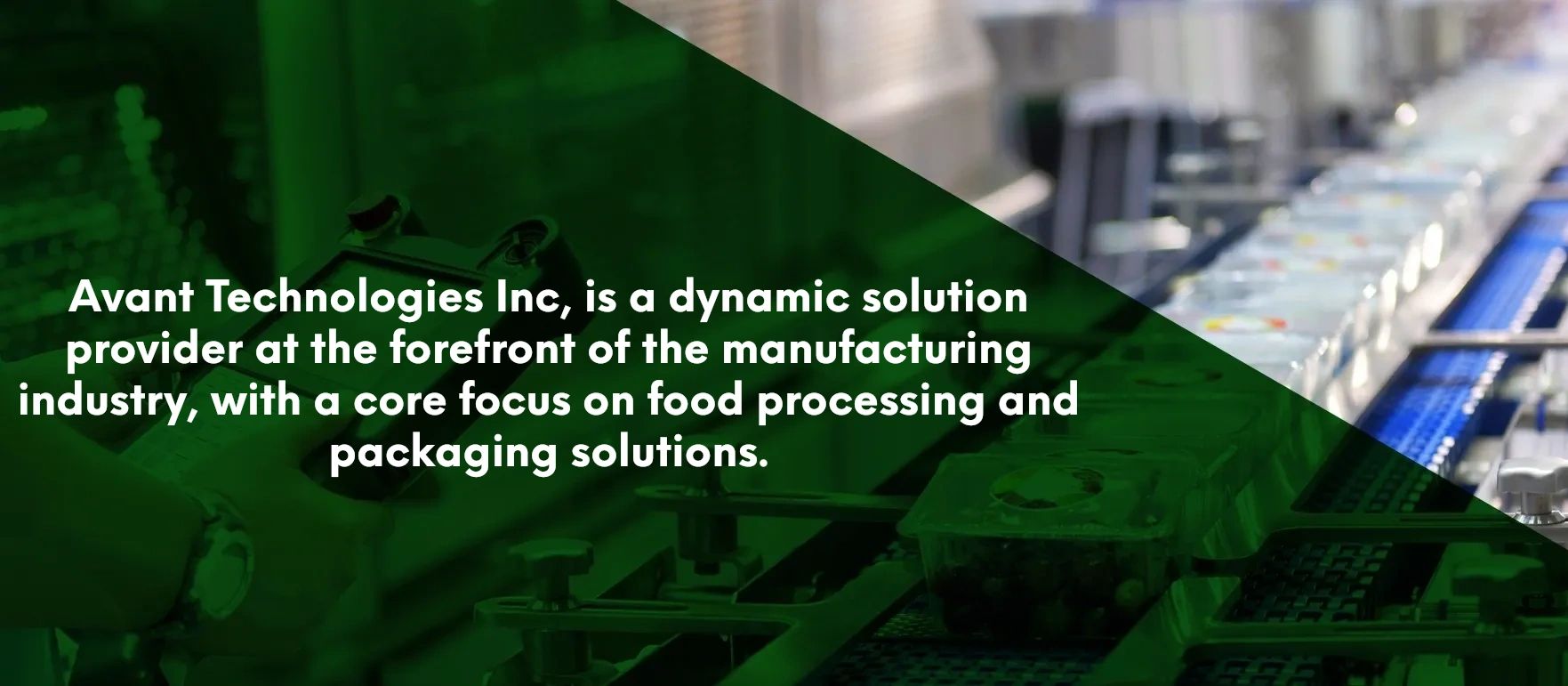 Avant Technologies - About Us, Company Information