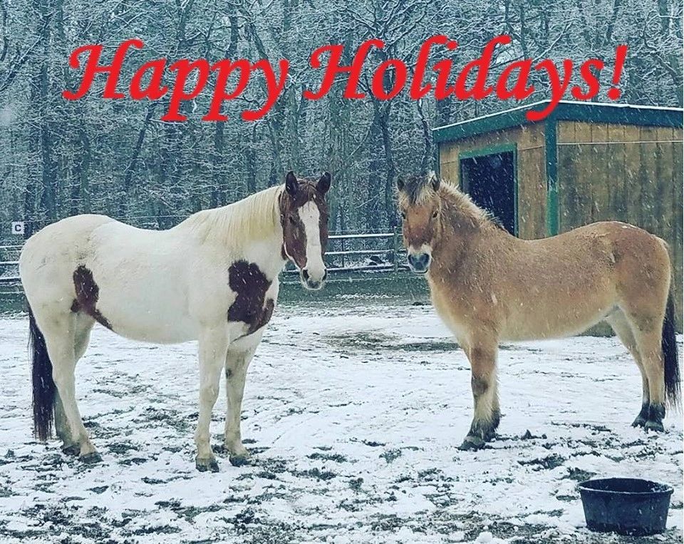 5 Ways to Make the Most of the Holiday Break