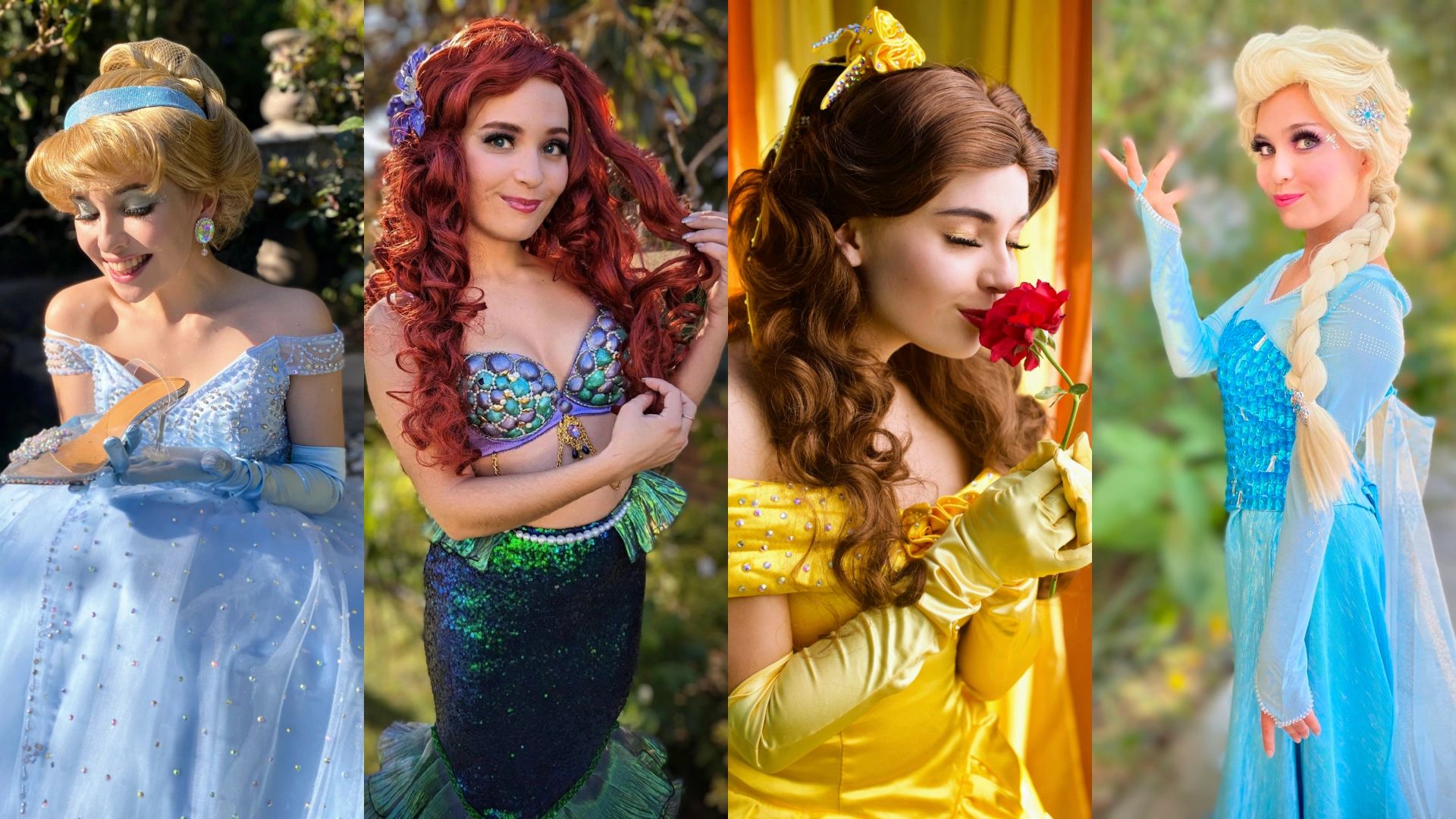 Disney Princesses And Heroes