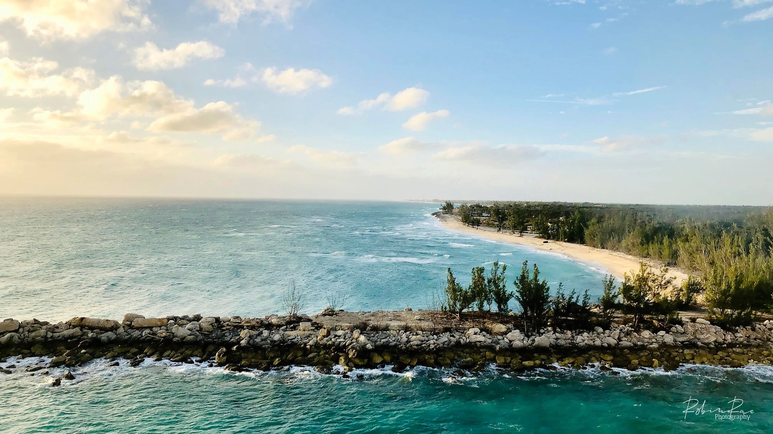 Artistry by Robin Rae