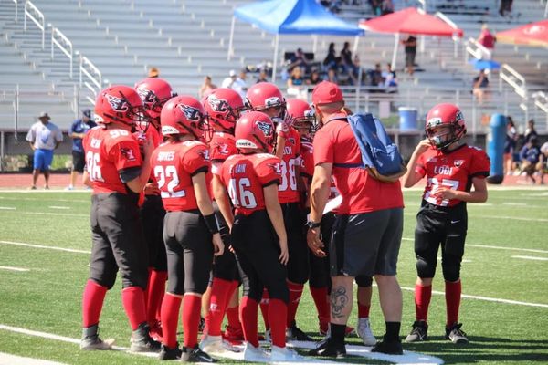 Pay Online | Lodi Jr. Flames