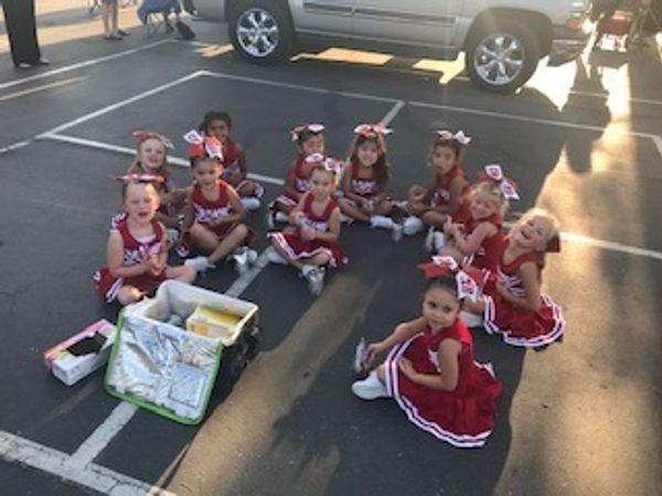 Pay Online | Lodi Jr. Flames