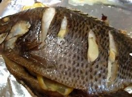 GRILLED WHOLE TILAPIA FISH