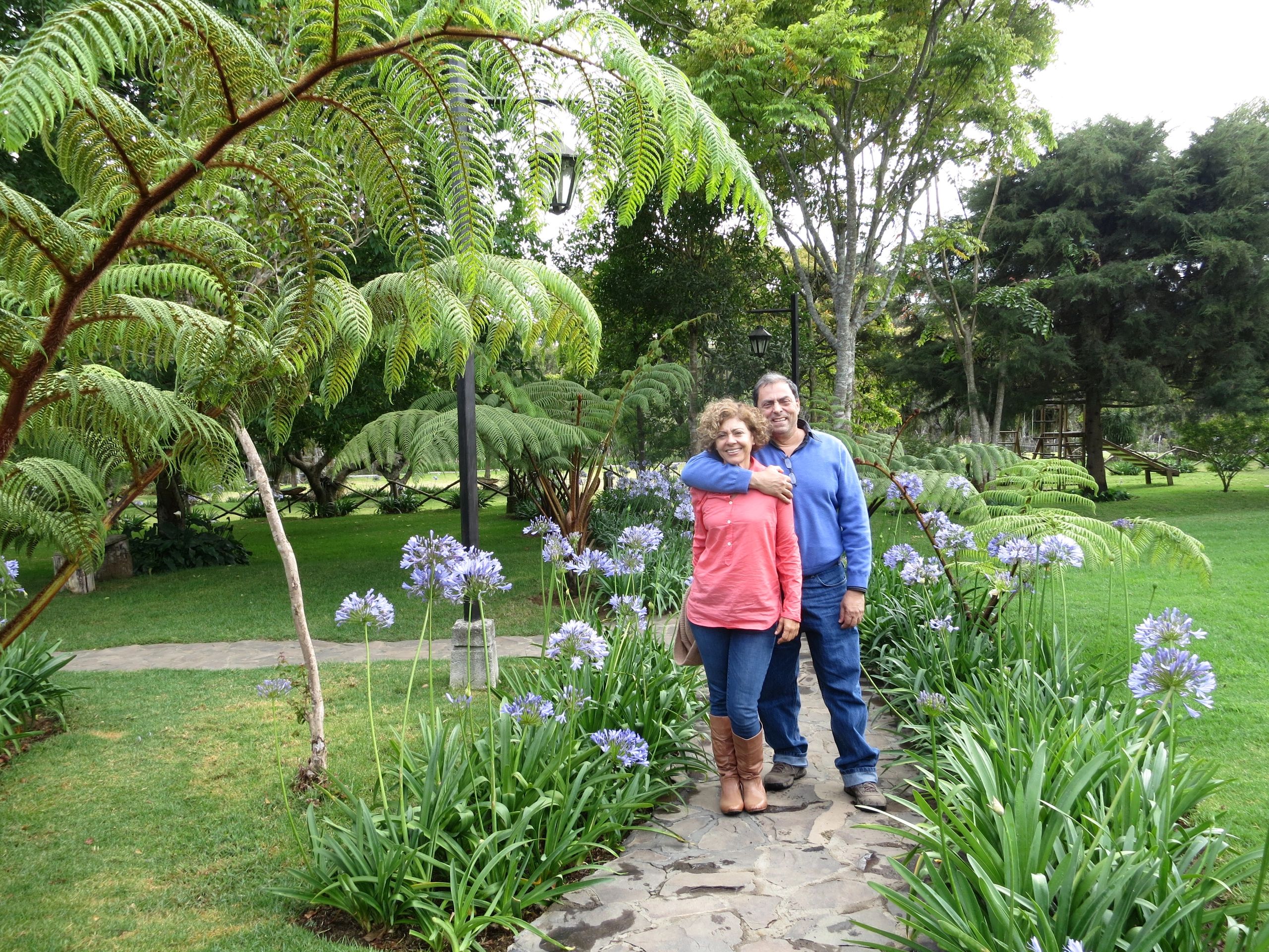 Isaac Farms: Your Miami Succulent Nursery and Garden Center