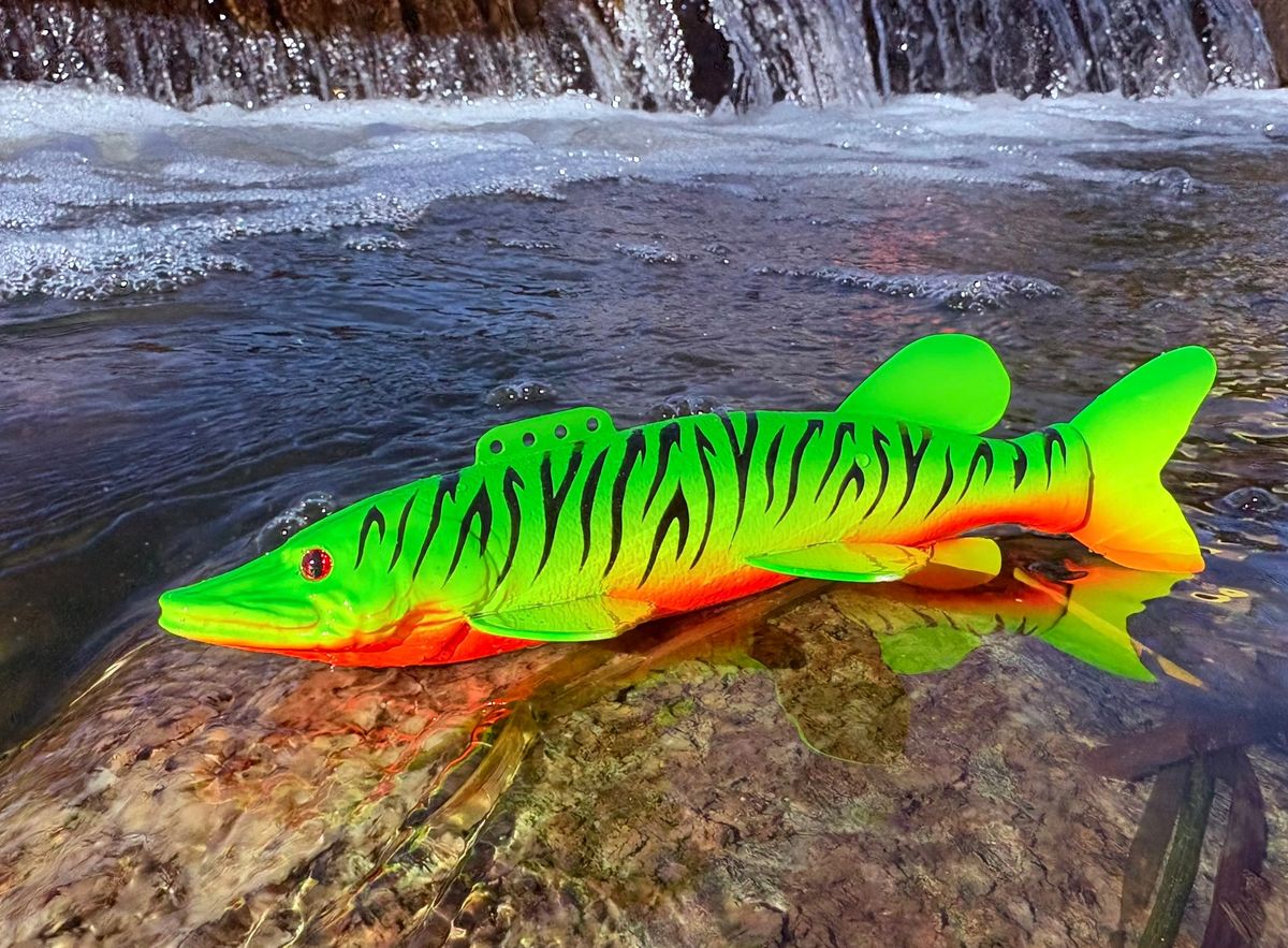 Pike, Tiger, Fluorescent