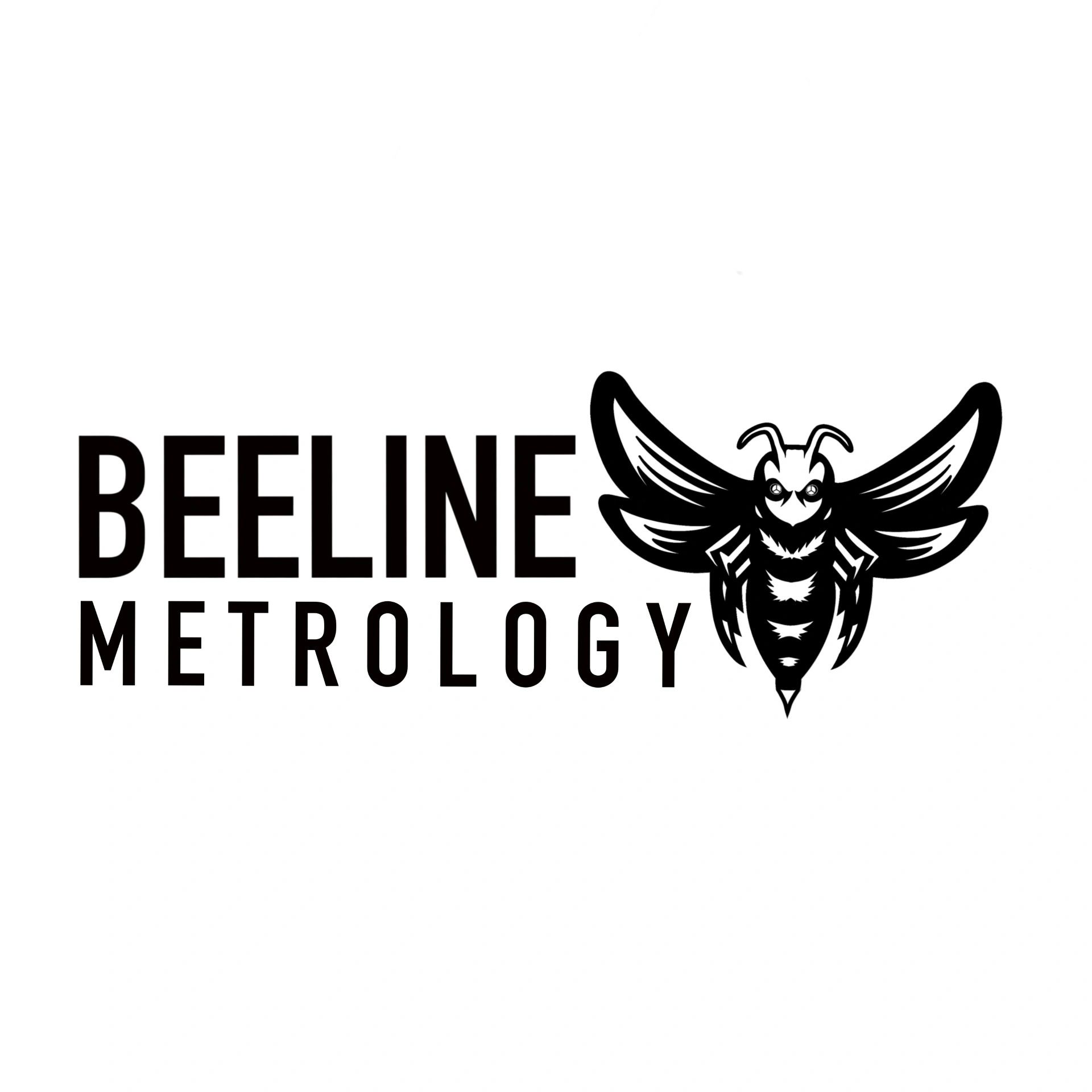 BeeLine Metrology