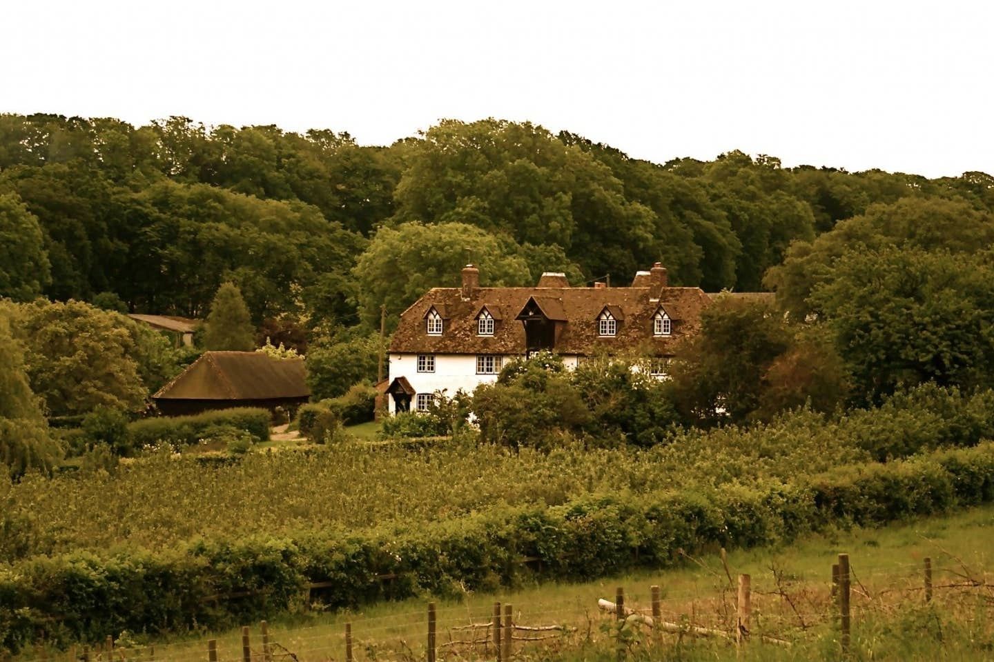 Farm Fresh Fruit Juices, Hay and Logs | Heart’s Delight Farm