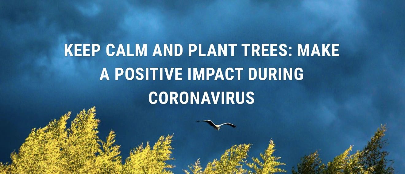 Keep Calm and Plant Trees