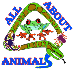 Animal Shows Birthday Parties All About Animals Dallas Texas