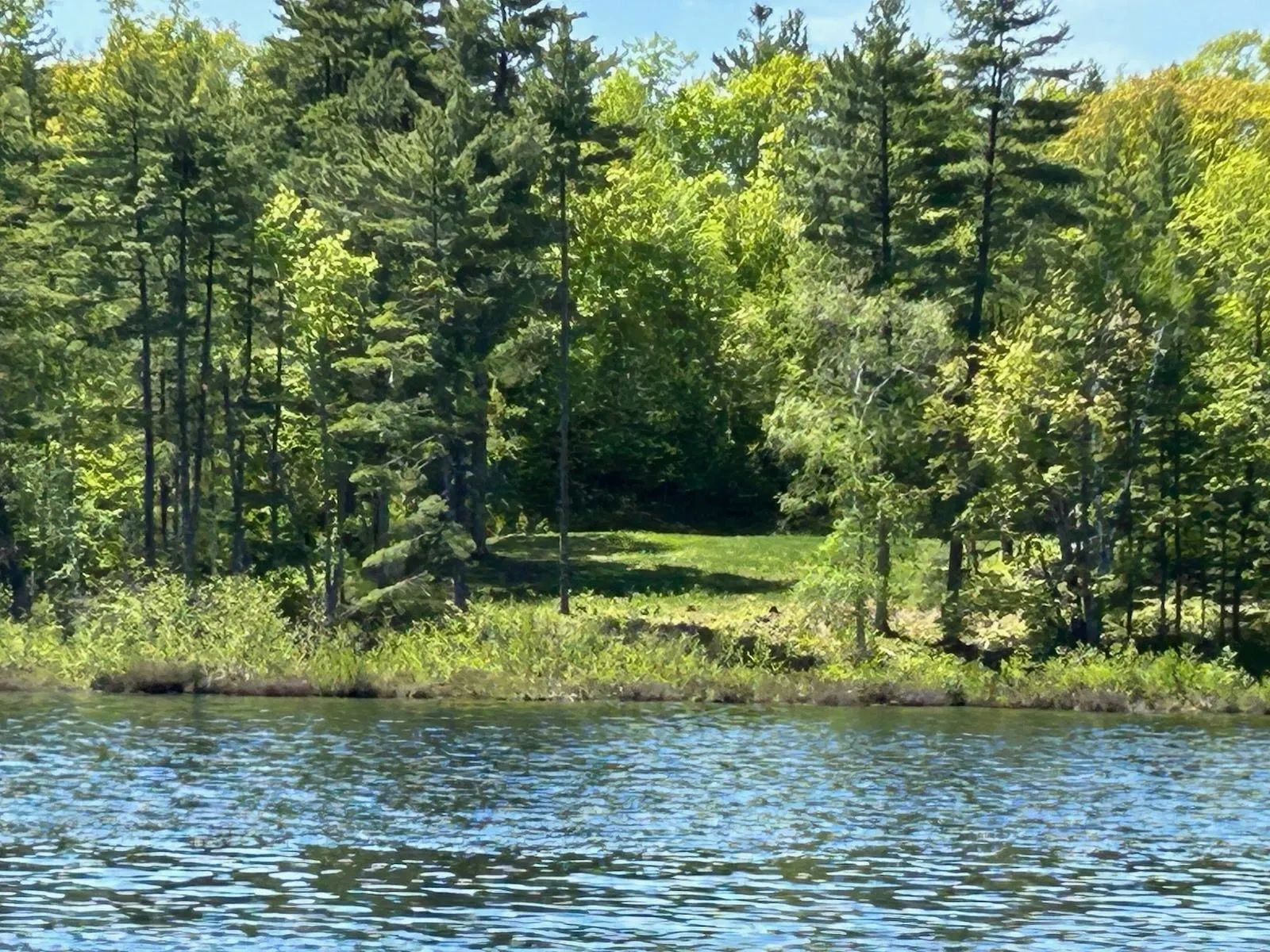 Find Your Dream Property in Hayward Wisconsin