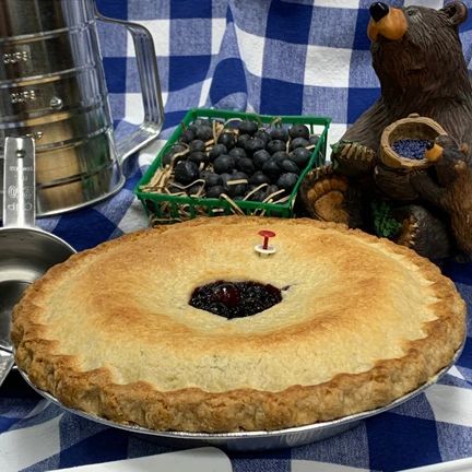 Delicious Chocolate Covered Blueberries | Blueberry Ridge Farm