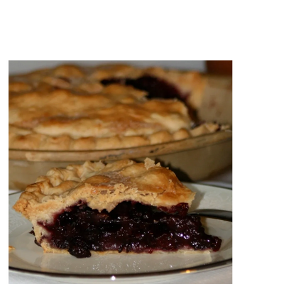 Delicious Chocolate Covered Blueberries | Blueberry Ridge Farm