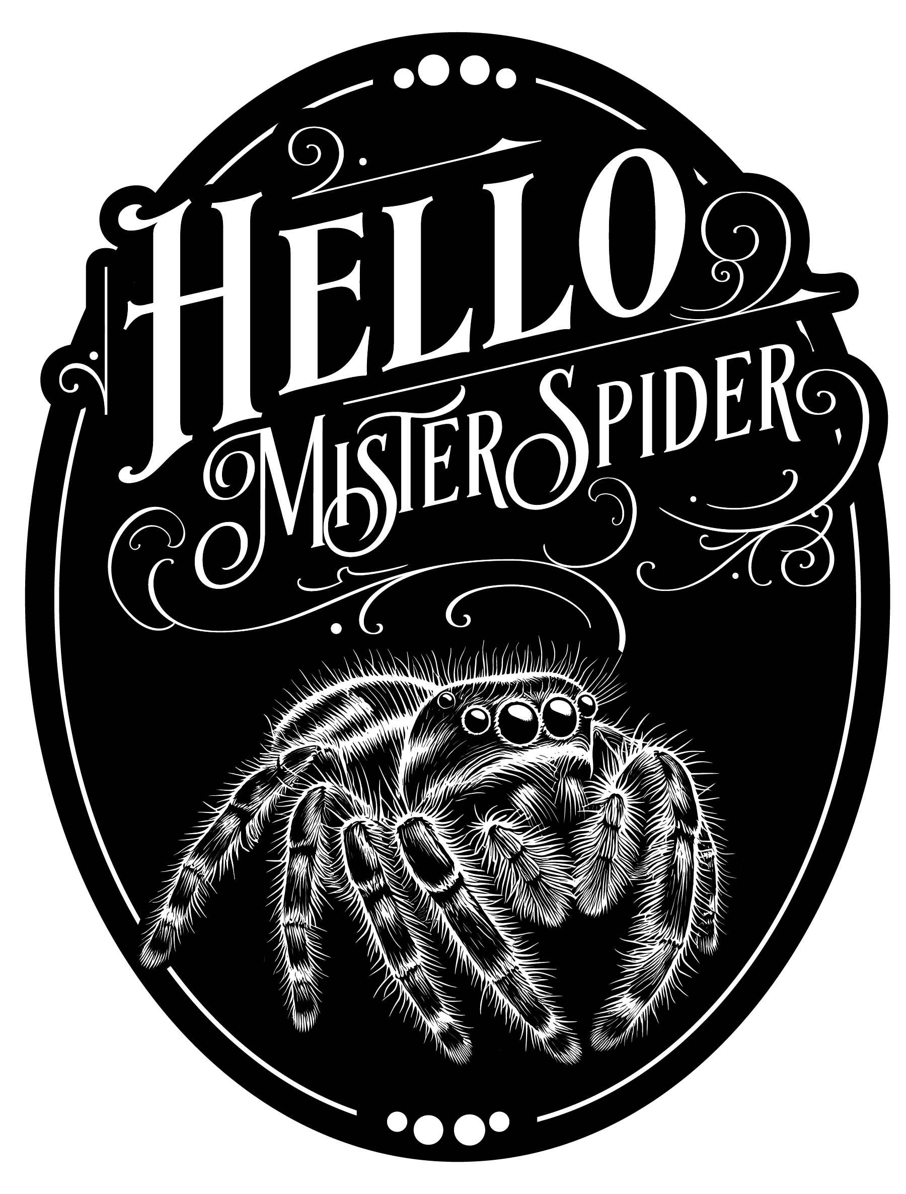 Hello Mister Spider
