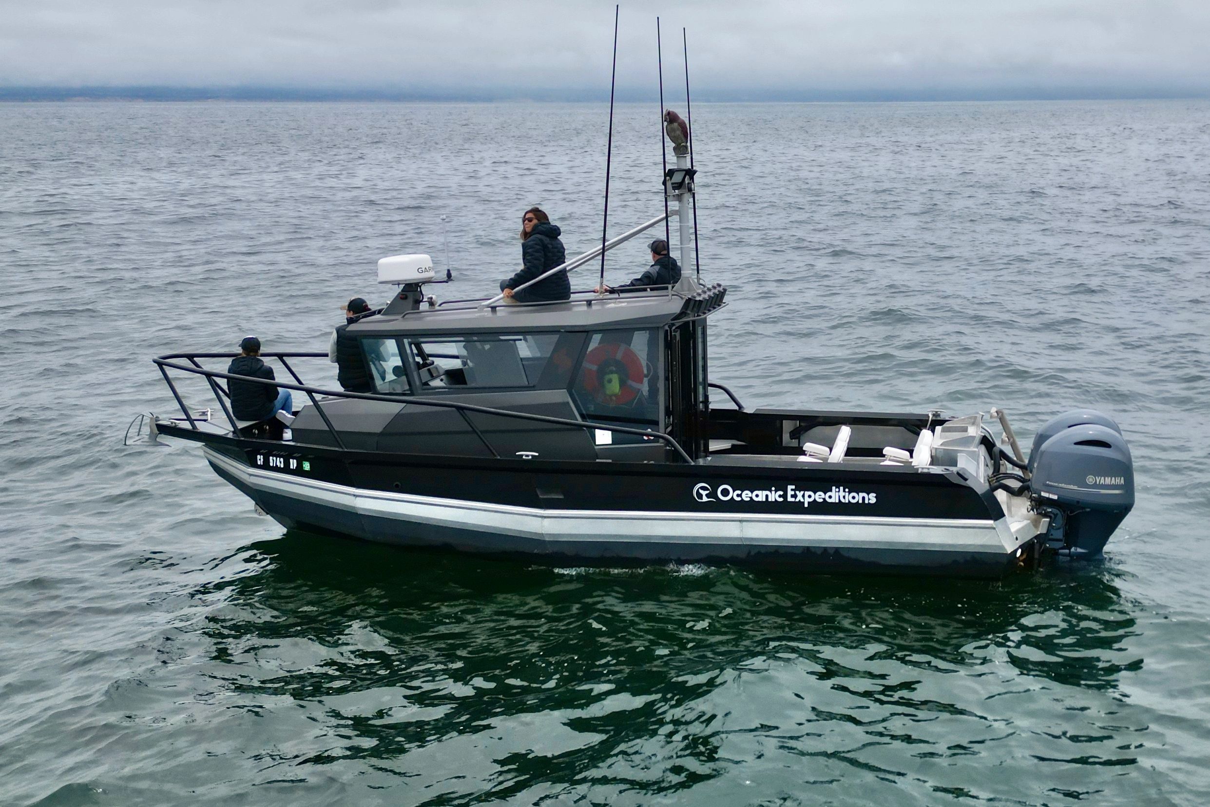 Whale Watching and Wildlife Photography - oceanic-expeditions.com