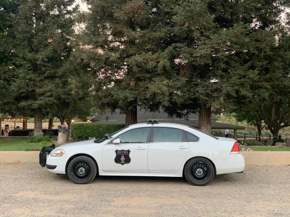 Metro Protection Services