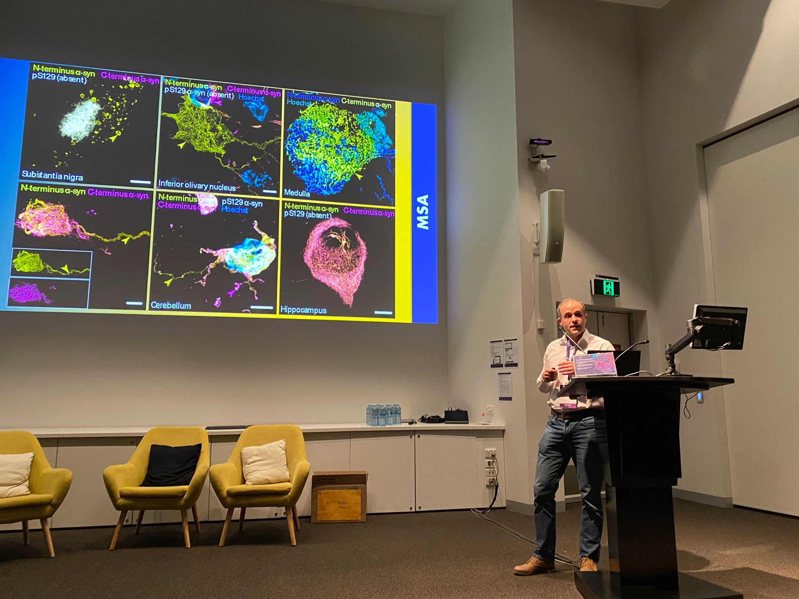History | CAMAND Meeting 2025