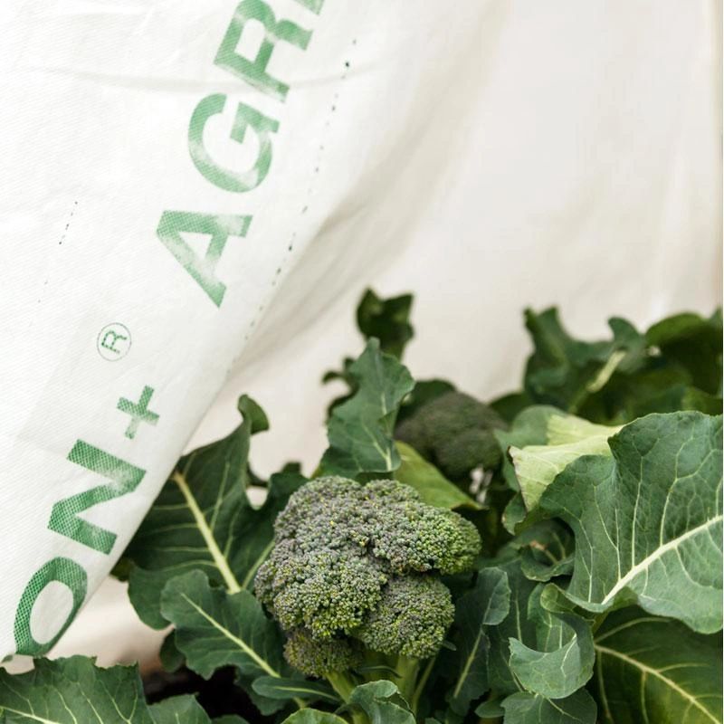 Agribon 19, AG-19, Floating Row Cover