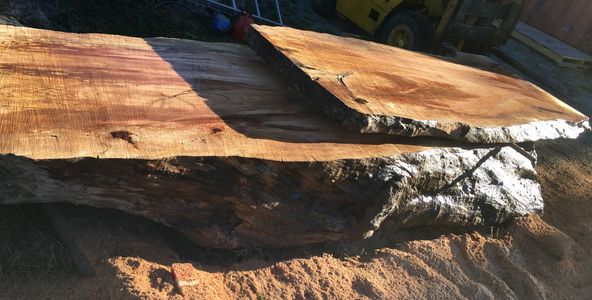 Live Edge Wood Slabs in Abbotsford, British Columbia | Live Edge Wood Slabs
