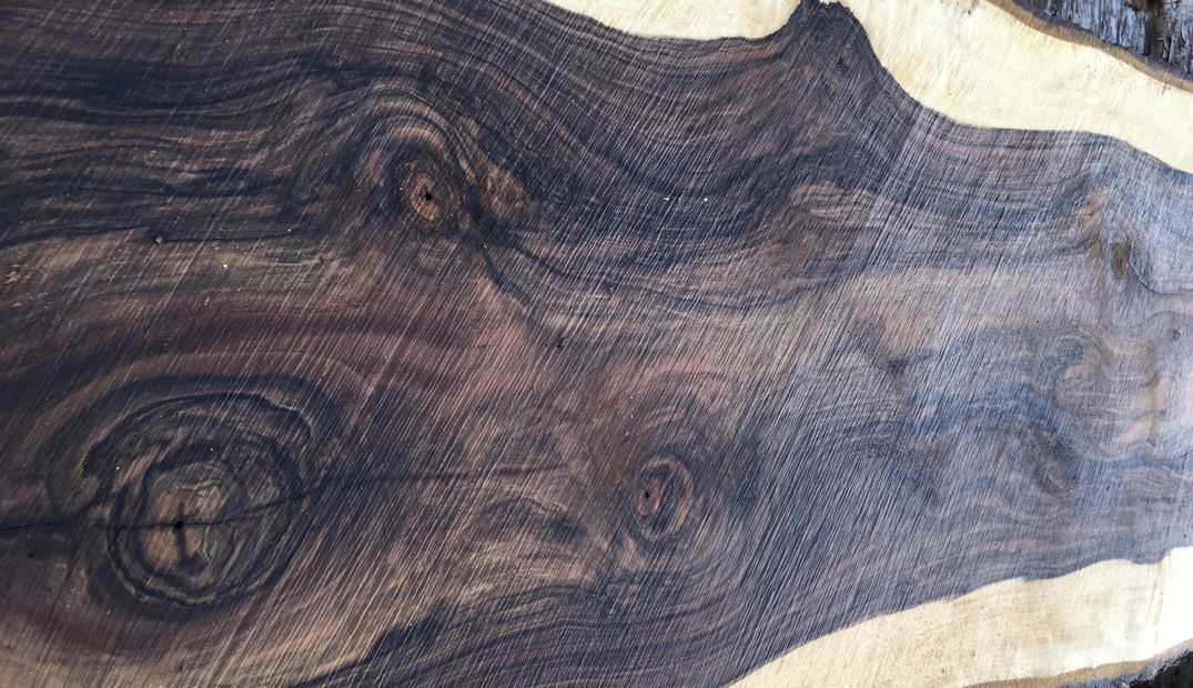 Walnut | Live Edge Wood Slabs