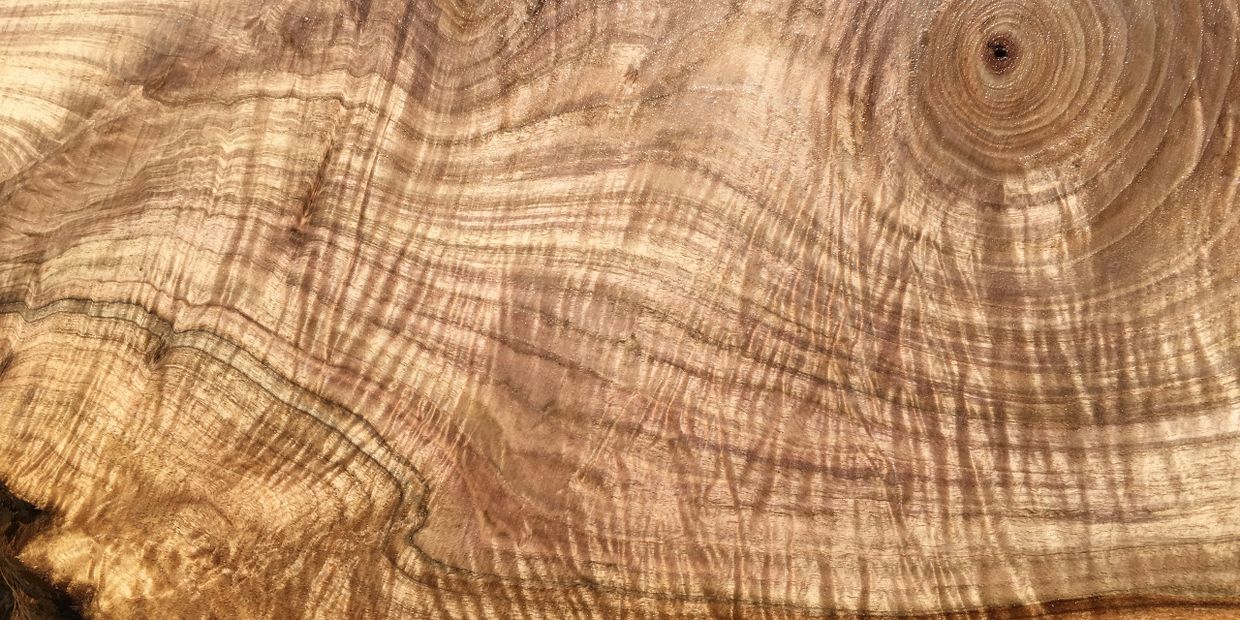 Walnut | Live Edge Wood Slabs