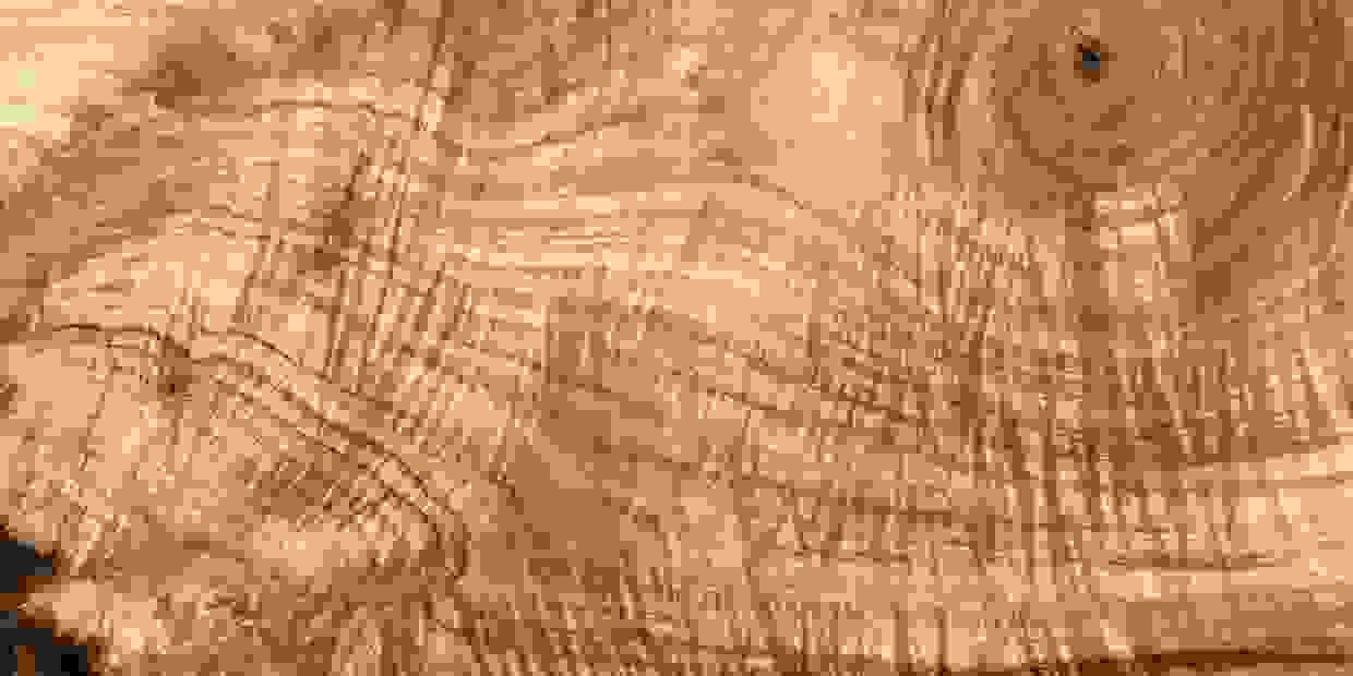 Walnut | Live Edge Wood Slabs