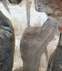 Walnut | Live Edge Wood Slabs