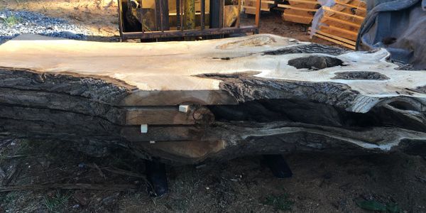 Walnut | Live Edge Wood Slabs