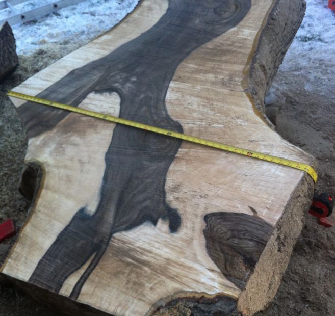 Walnut | Live Edge Wood Slabs