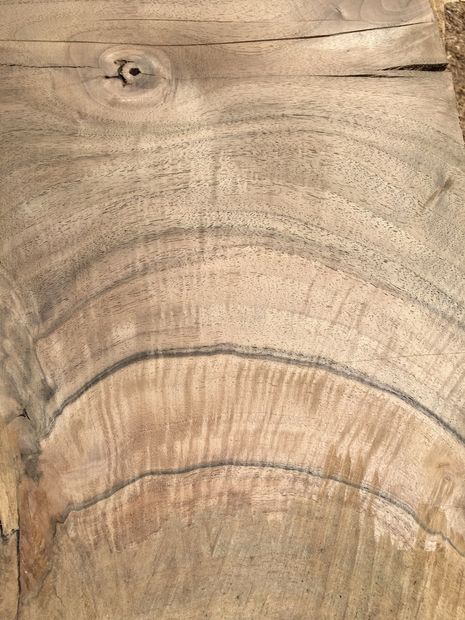 Walnut | Live Edge Wood Slabs