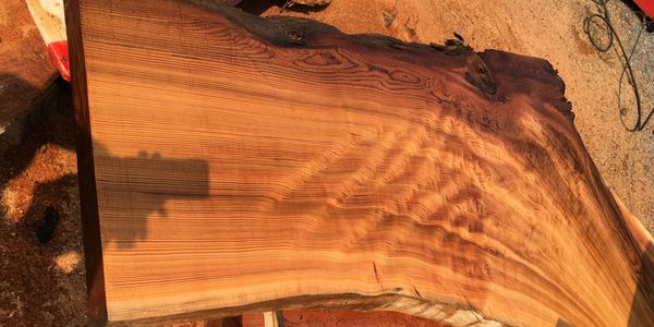 Live Edge Wood Slabs in Abbotsford, British Columbia | Live Edge Wood Slabs