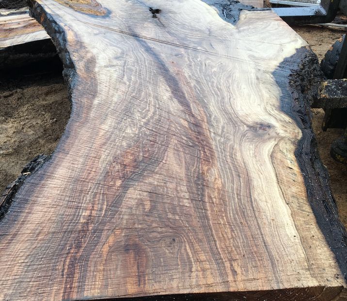 Walnut | Live Edge Wood Slabs