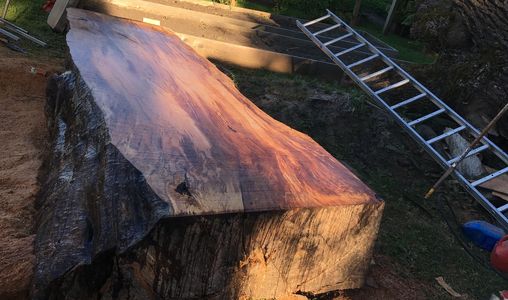 Live Edge Wood Slabs in Abbotsford, British Columbia | Live Edge Wood Slabs