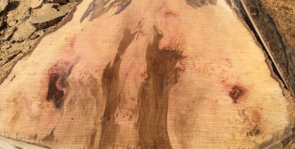 Live Edge Wood Slabs in Abbotsford, British Columbia | Live Edge Wood Slabs