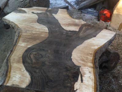 Walnut | Live Edge Wood Slabs