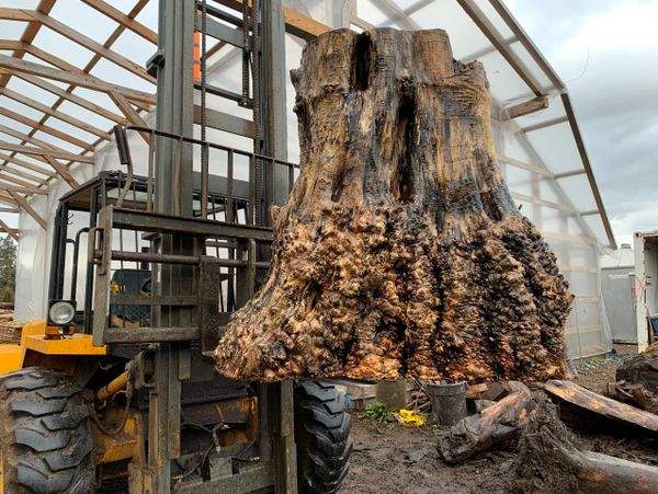 Custom Wood Table Slabs - Live Edge Wood Slabs