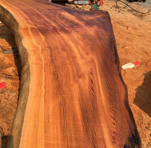 Live Edge Wood Slabs in Abbotsford, British Columbia | Live Edge Wood Slabs