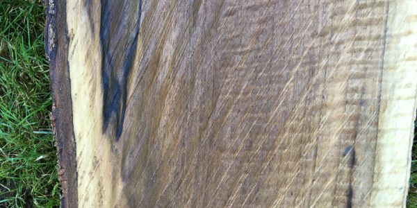 Walnut | Live Edge Wood Slabs