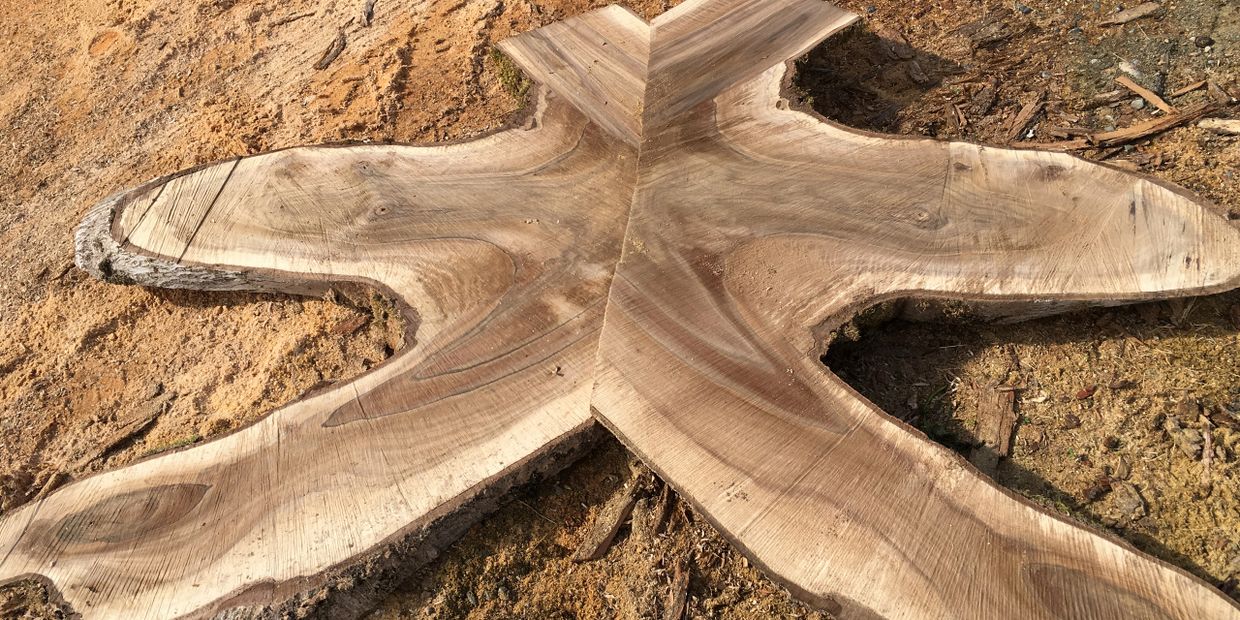 Bookmatched Table Slabs | Live Edge Wood Slabs