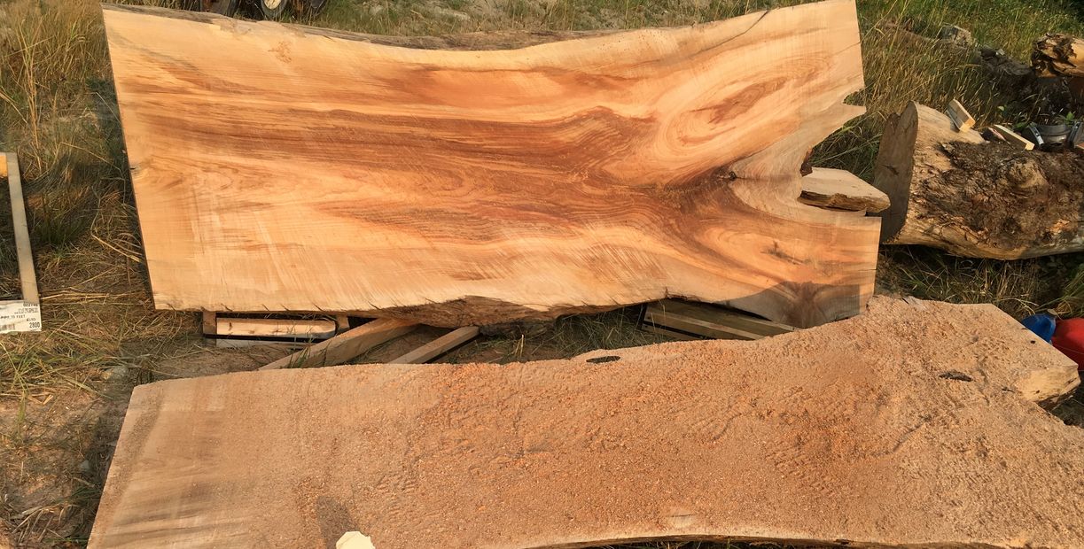 Live Edge Wood Slabs in Abbotsford, British Columbia | Live Edge Wood Slabs