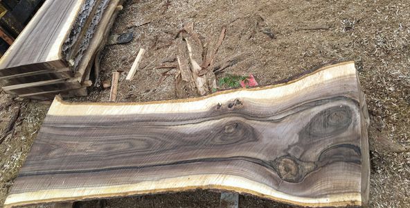 Walnut | Live Edge Wood Slabs