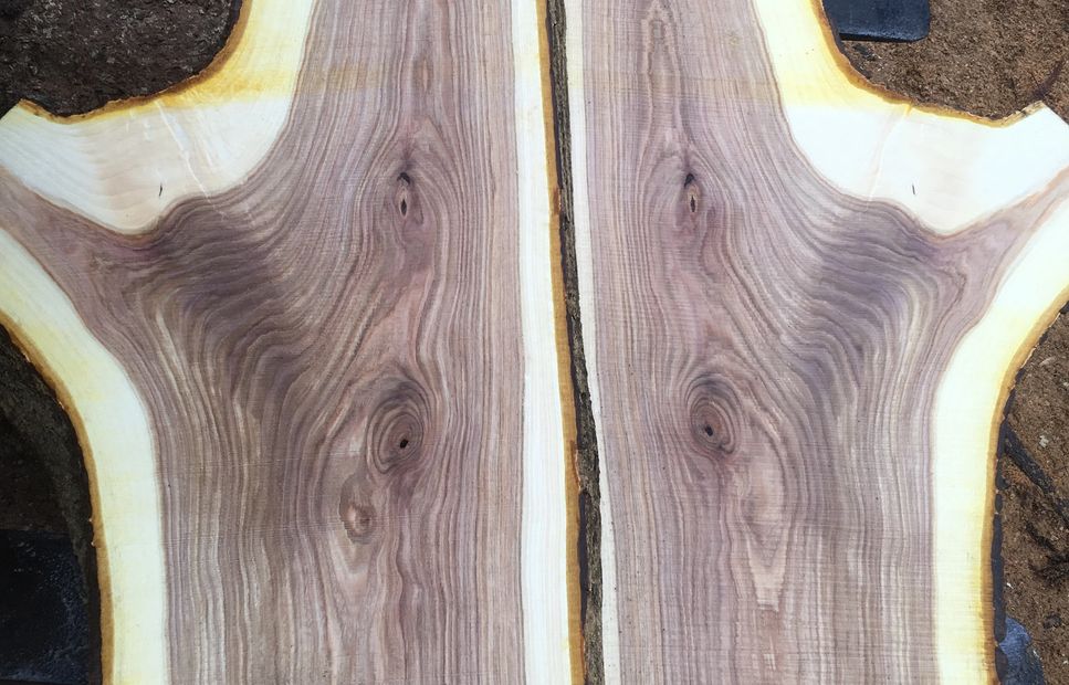 Bookmatched Table Slabs | Live Edge Wood Slabs
