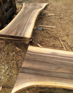 Walnut | Live Edge Wood Slabs