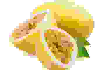 Fruta Liquida, Frutone Zumo de Fruta - Pulpa, Jugo, Zumo