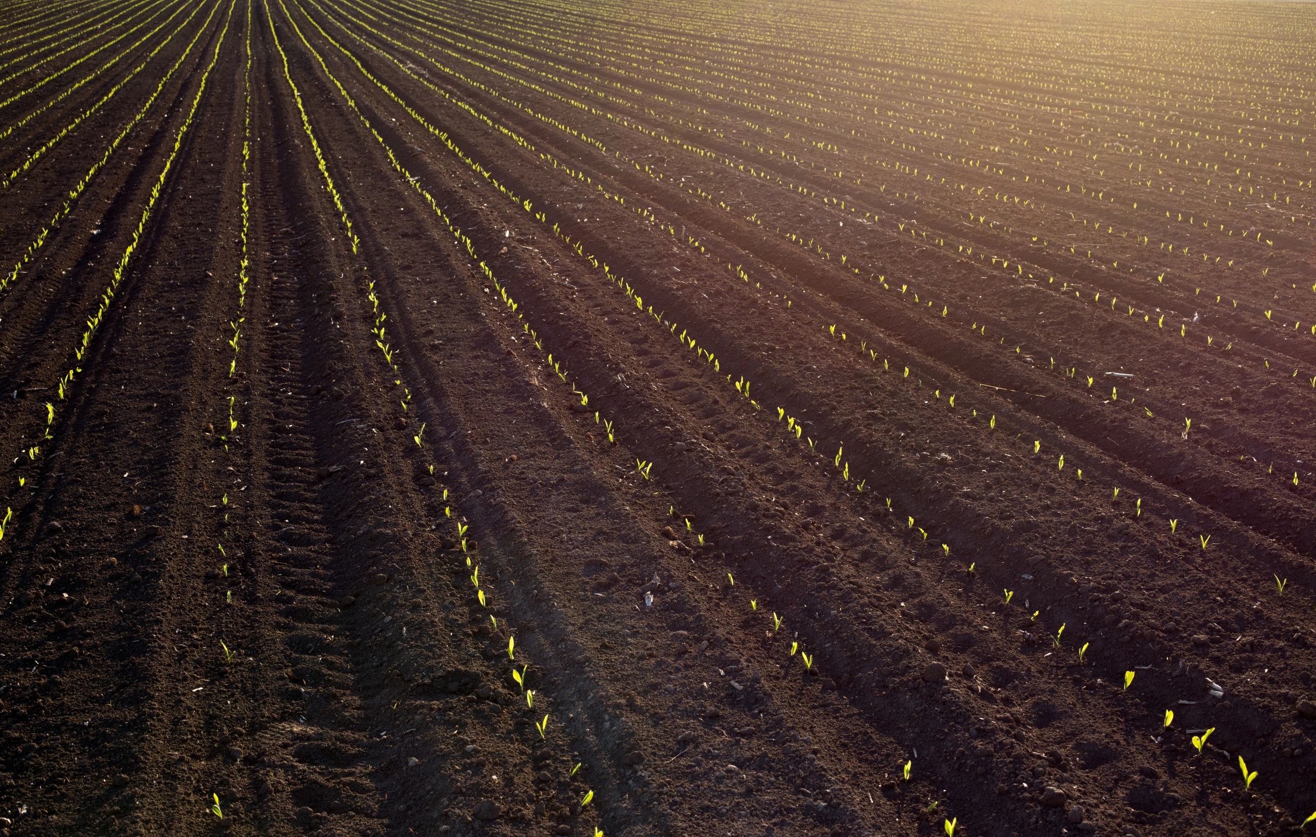 Johnson Brothers Farm Services - Home