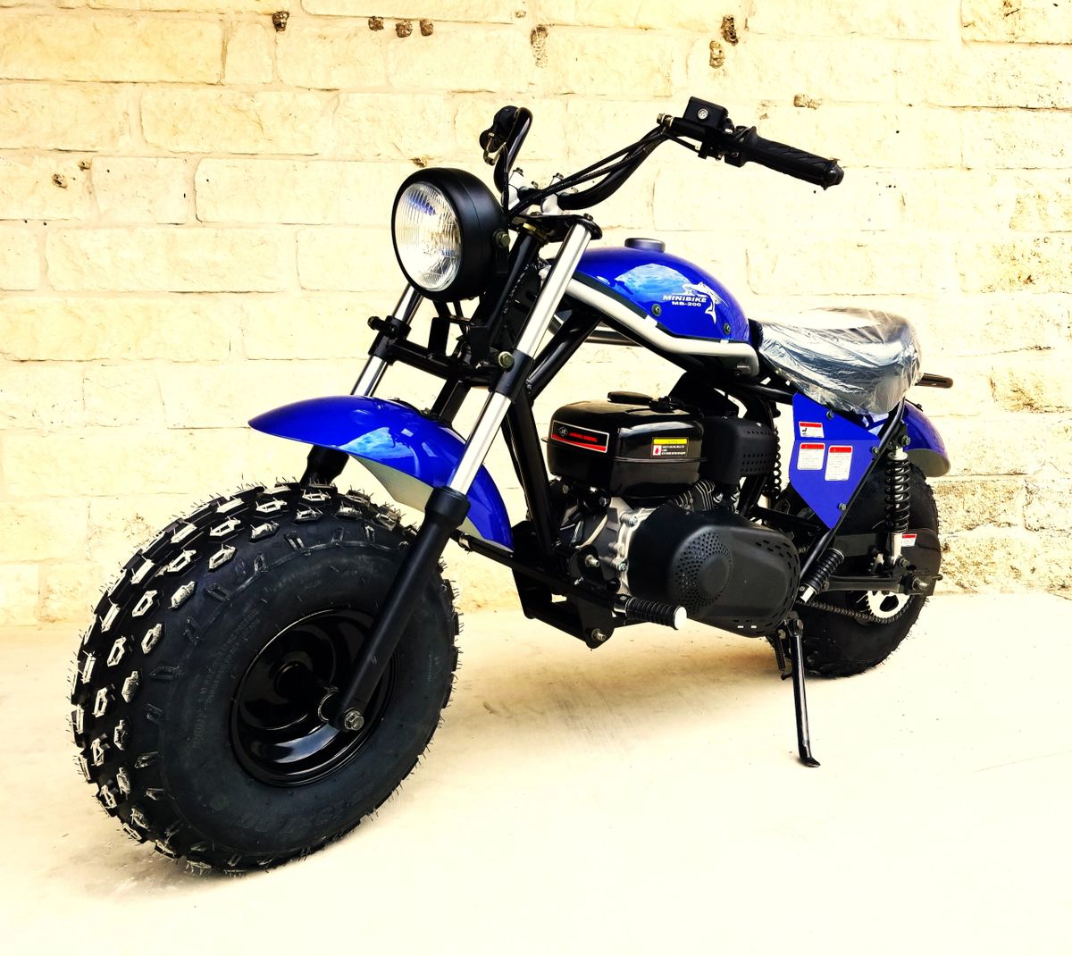 TrailMaster MB200 Mini Bike