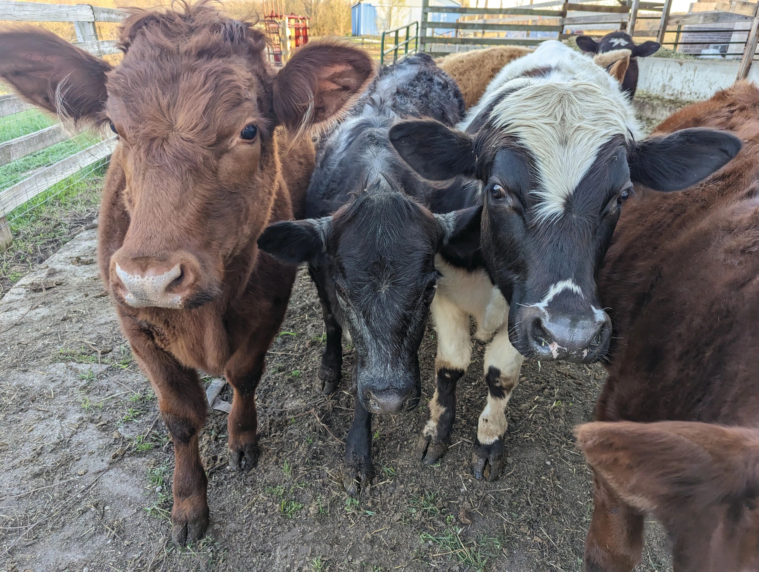 Bates Creek Farm
