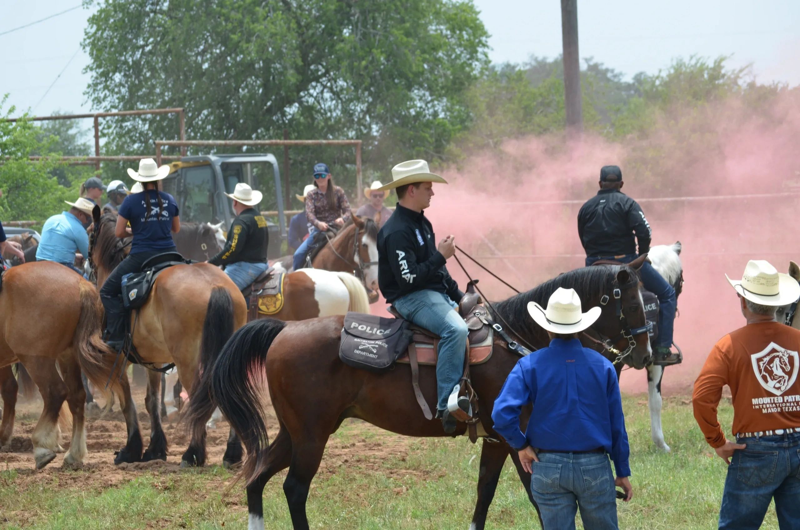 Home - Police Mounted Patrol Training Services Online- MPI