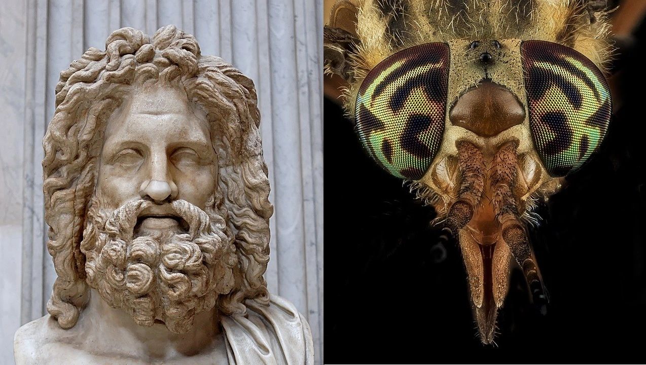 The Arthropod Gods: Hellenic World Part I